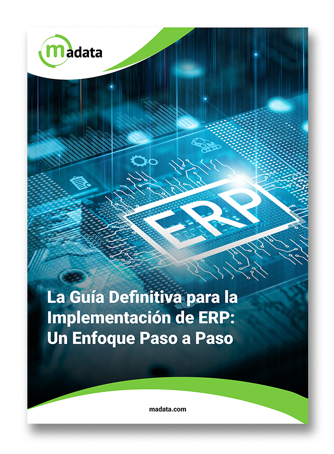 Descarga La Guía Definitiva para la Implementación de ERP